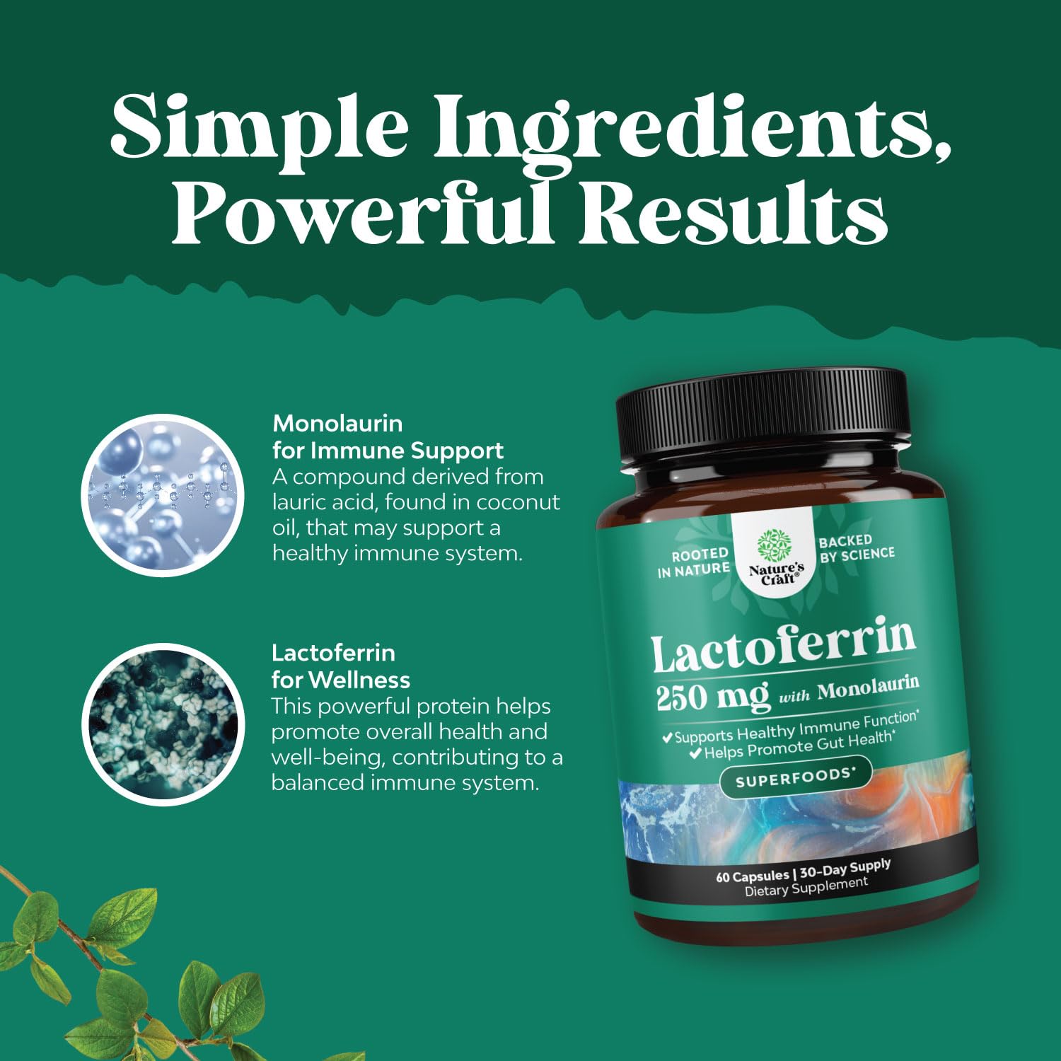natural vegetarian digestive aid