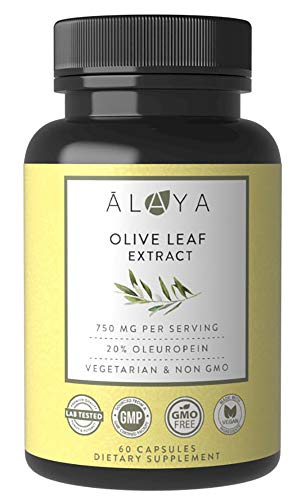 natural vegetarian olive leaf supplement
