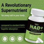 Natural veggie capsules for wellness