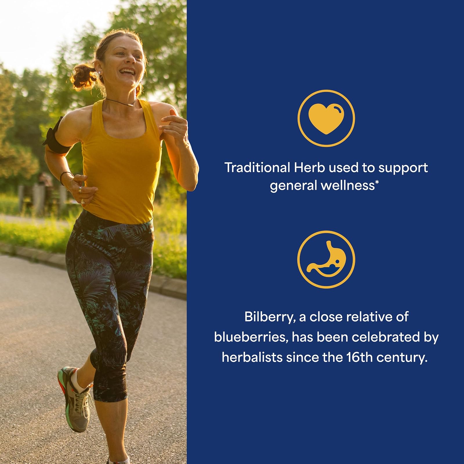 natural vision support bilberry