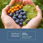 natural vision support capsules