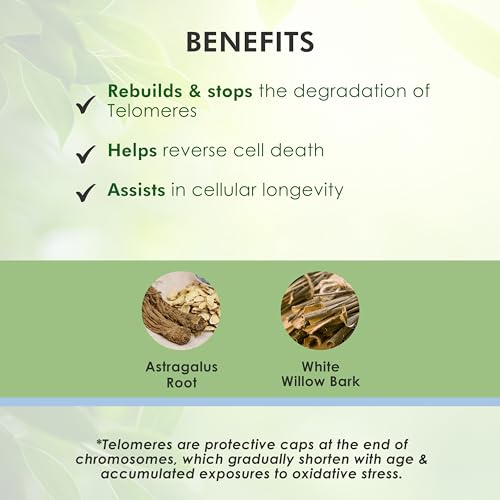 Natural vitality boost with astragalus