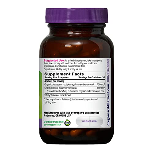 natural vitality booster astragalus