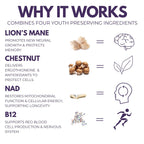 natural vitality with Lion's Mane