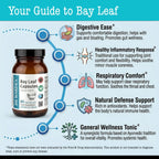 natural vitamin A source from Bay Leaf