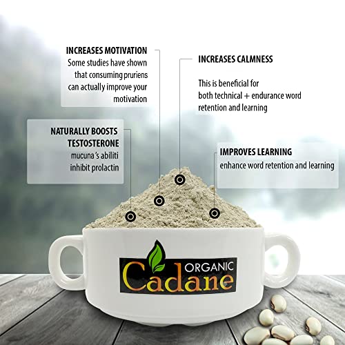 natural vitamin A source mucuna pruriens