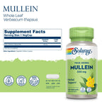natural vitamin A source Mullein