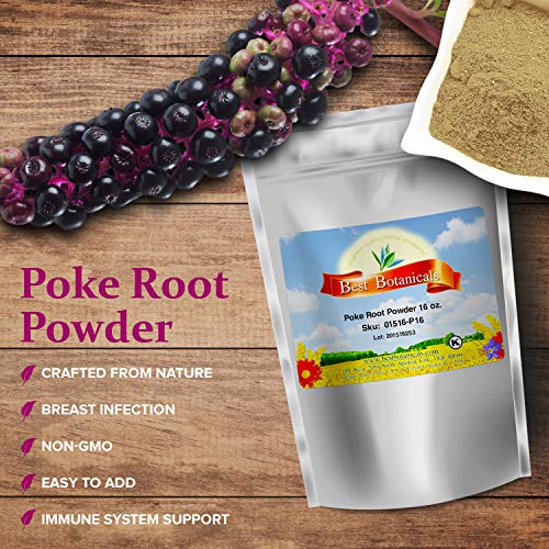 Natural vitamin A source Poke Root