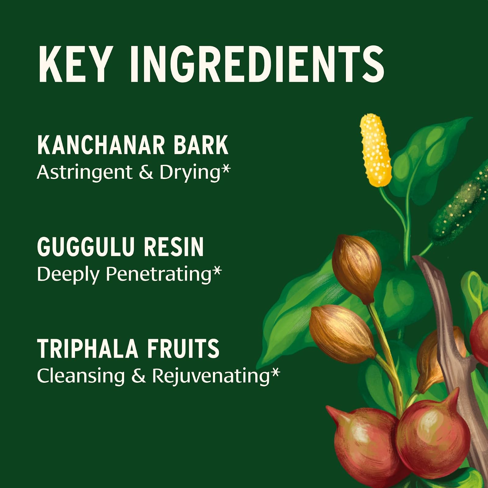 natural vitamin A source tablets