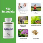 Natural vitamin A supplement capsules