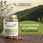 natural vitamin A supplement capsules