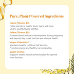natural vitamin b complex for vitality