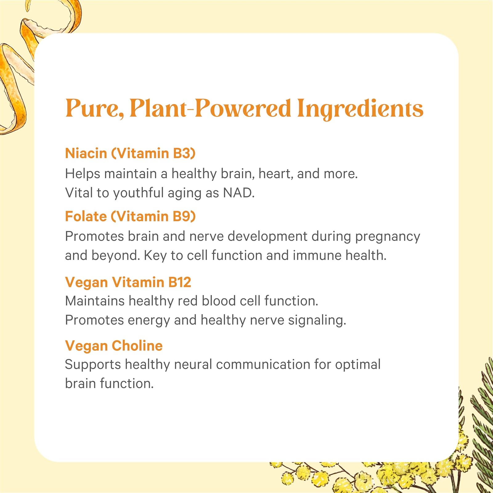 natural vitamin b complex for vitality