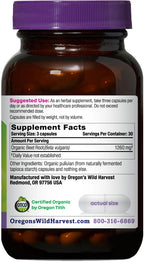 natural vitamin B complex supplement