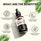 natural vitamin b12 for vegans