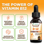 natural vitamin B12 methylcobalamin