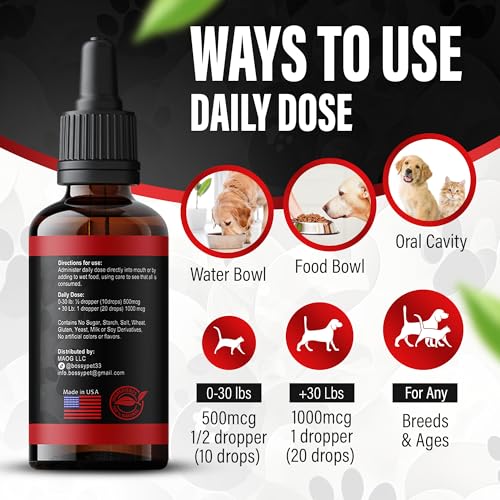 natural vitamin b12 support for vitality