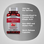 Natural vitamin C for immune support