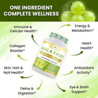 natural vitamin C from Amla fruit