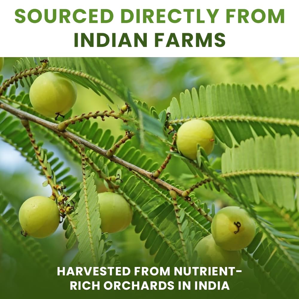 natural vitamin C source Amla Powder