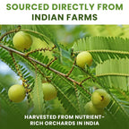 natural vitamin C source Amla Powder