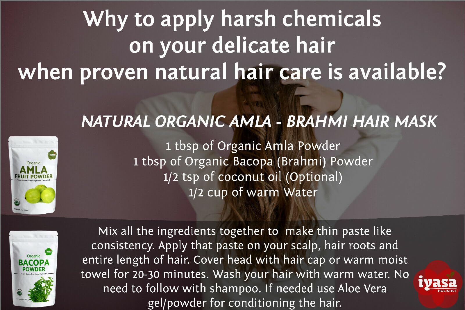 natural vitamin C source amla powder