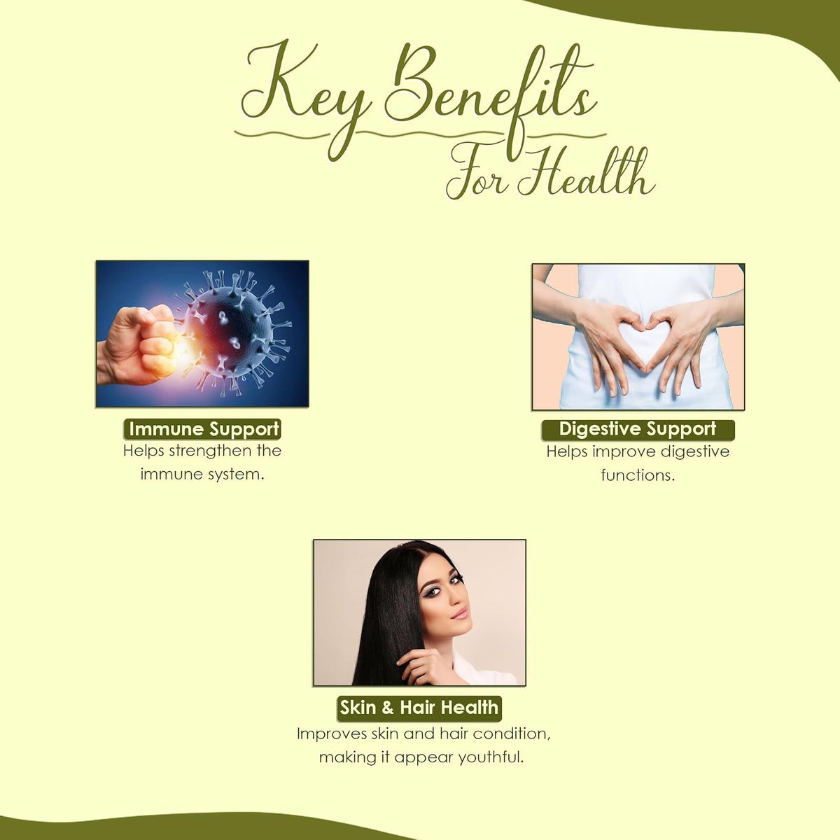 natural vitamin C source Amla powder