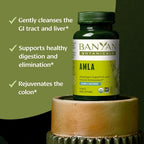 natural vitamin C source amla