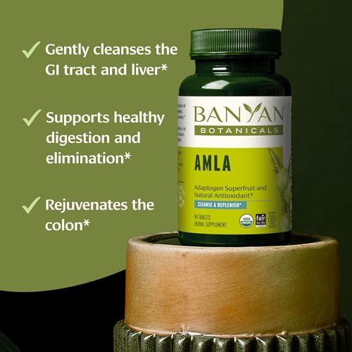natural vitamin C source amla