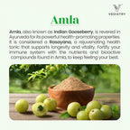 natural vitamin C supplement