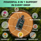 natural vitamin c zinc echinacea formula