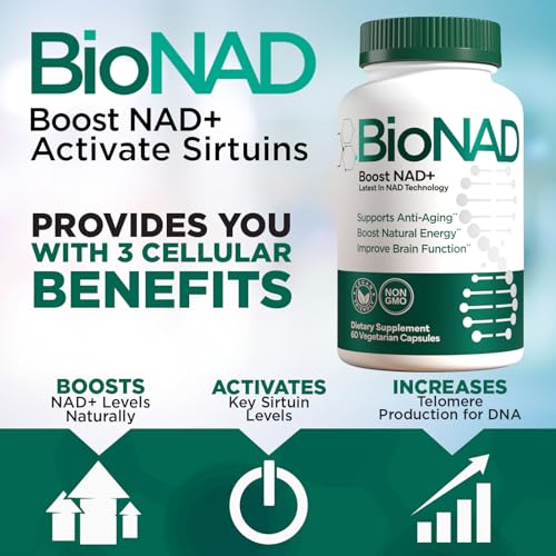 natural vitamins for energy and health
