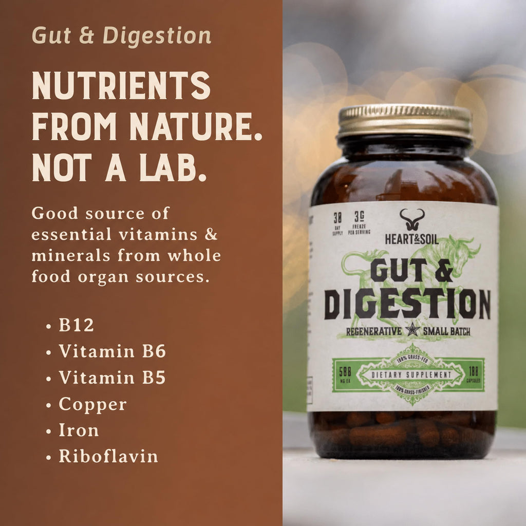 natural vitamins for gut wellness