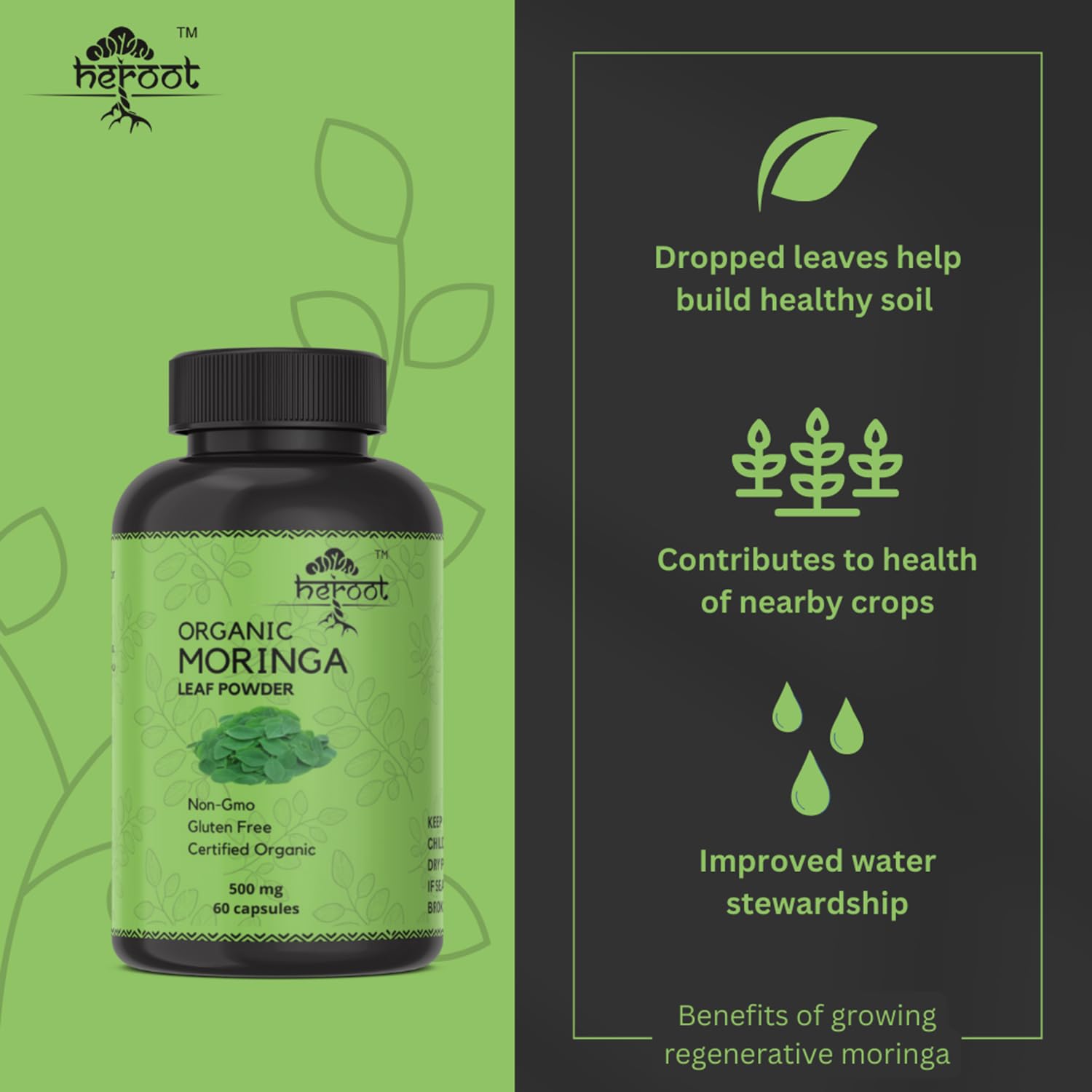 natural vitamins from moringa leaves