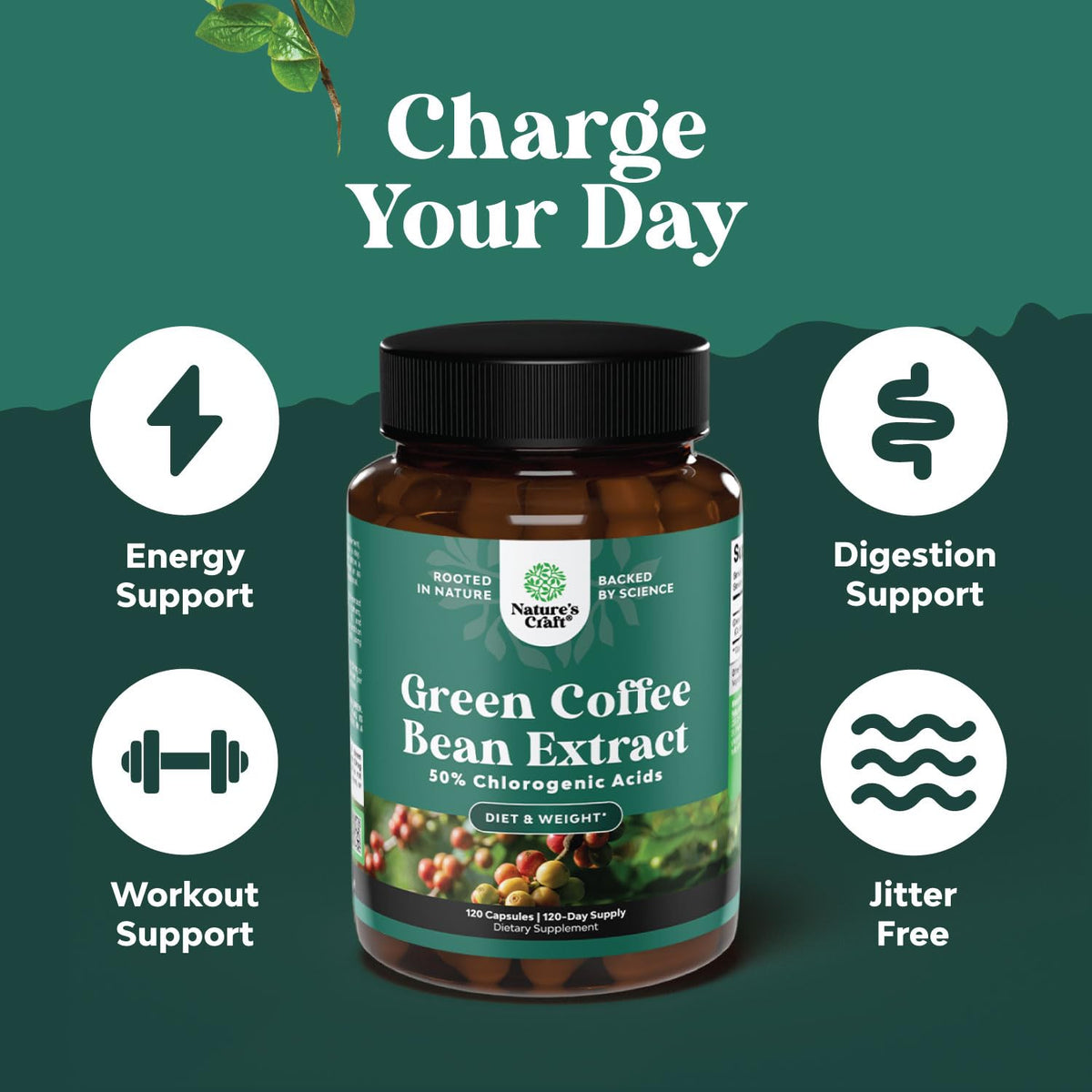 Natural weight loss supplement capsules