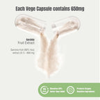 natural weight loss support Garcinia Cambogia