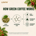 natural weight loss support