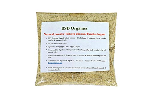 natural wellness ginger supplement
