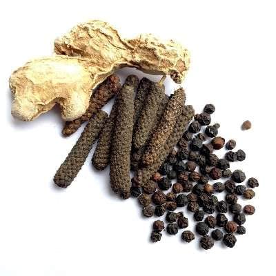 natural wellness ginger supplement