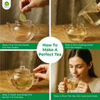 natural wellness guava leaf tea