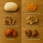 natural wellness mushroom supplement