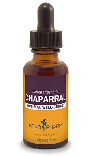 natural wellness mushroom supplement