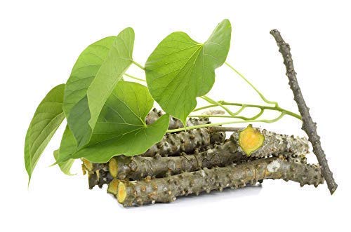 natural wellness neem sticks