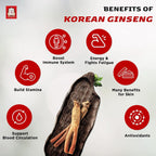natural wellness red ginseng for women