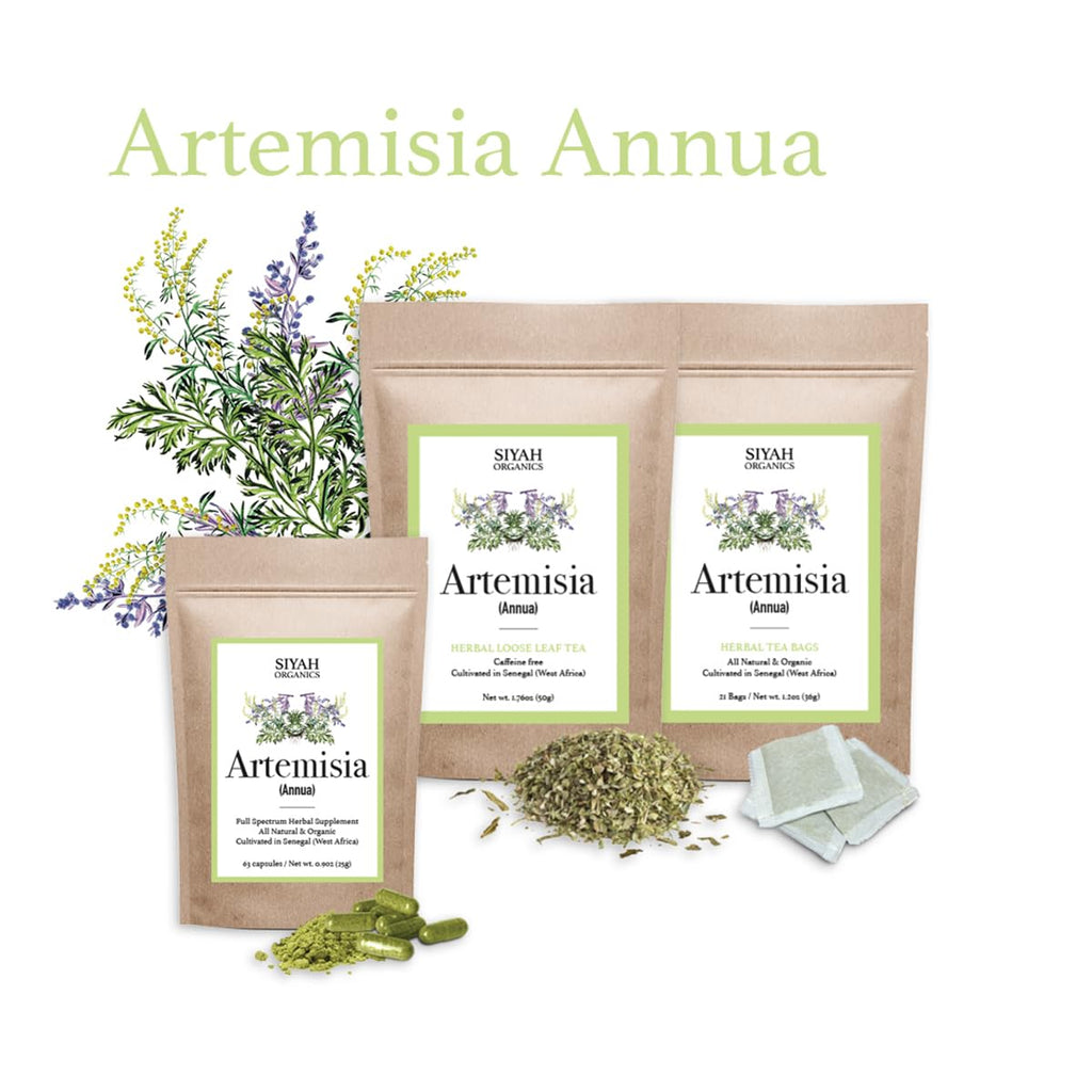 natural wellness support capsules