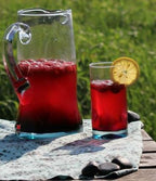 natural wellness wild hibiscus tea