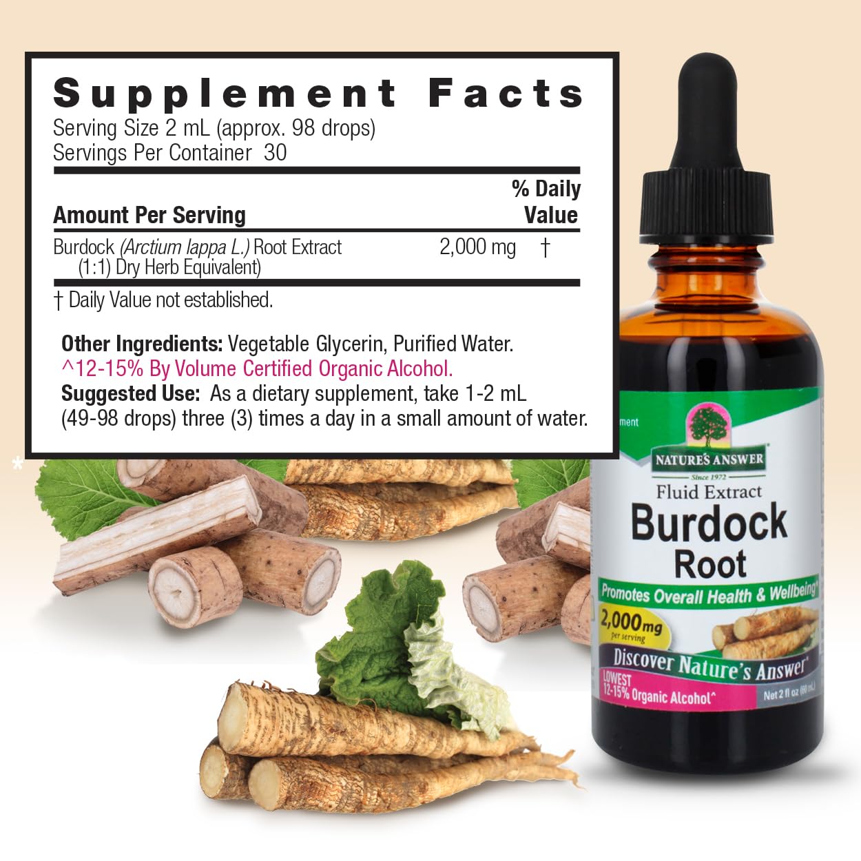 natural wellness with burdock root