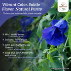 Natural wellness with butterfly pea tea