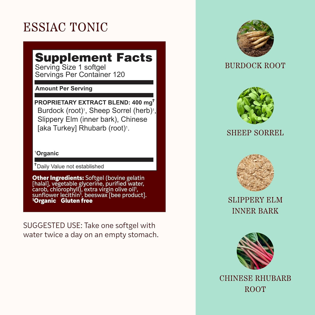 Natural wellness with Essiac tonic