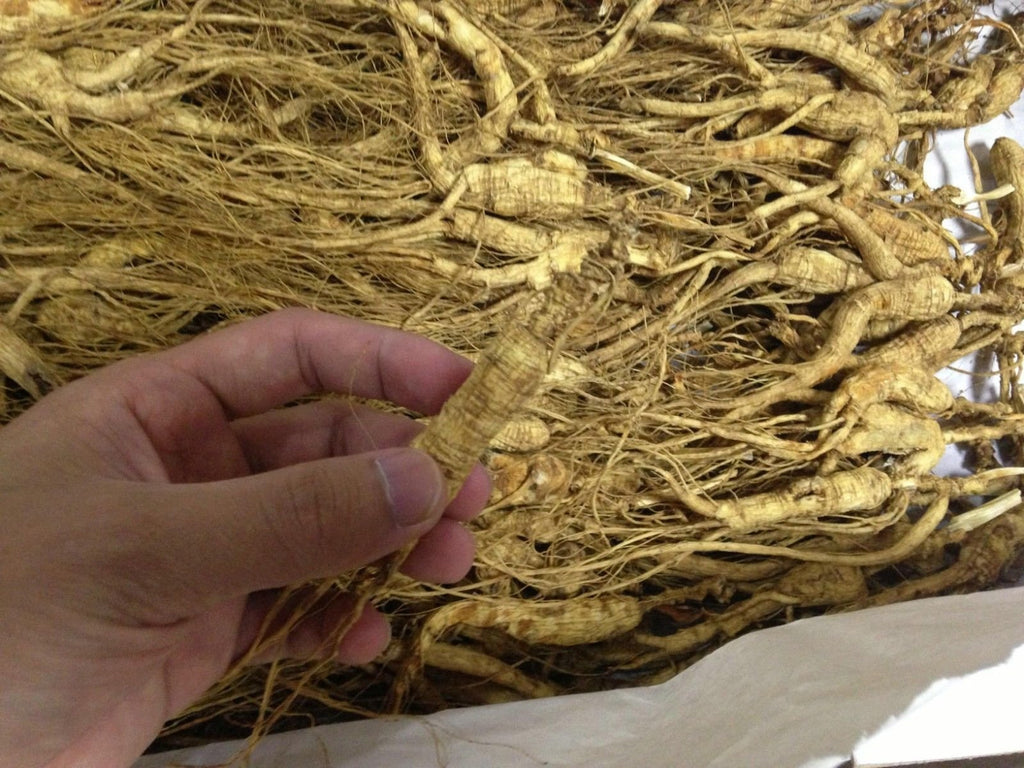 natural wellness with ginseng